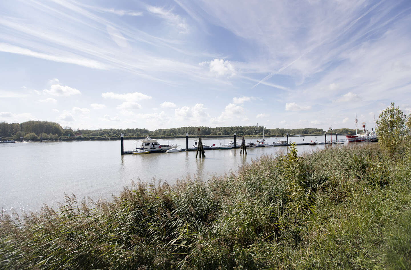 Rupelmonde | Nationaal Park Scheldevallei